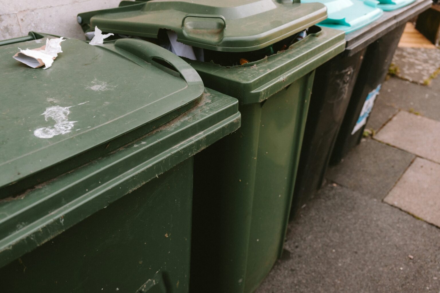 How Garbage Disposal Services Help Manage Holiday Waste